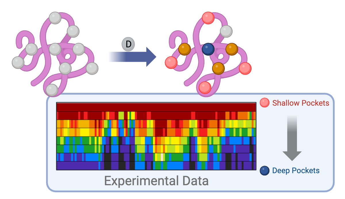 NovelStructural Insights